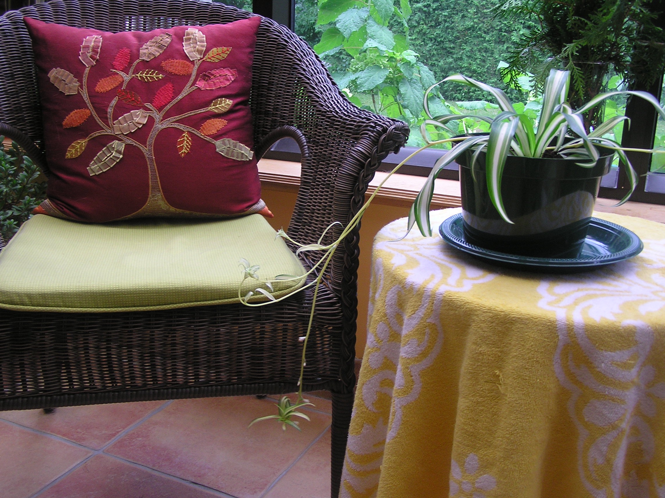 THE HUMBLE SPIDER PLANT – TINA HOME