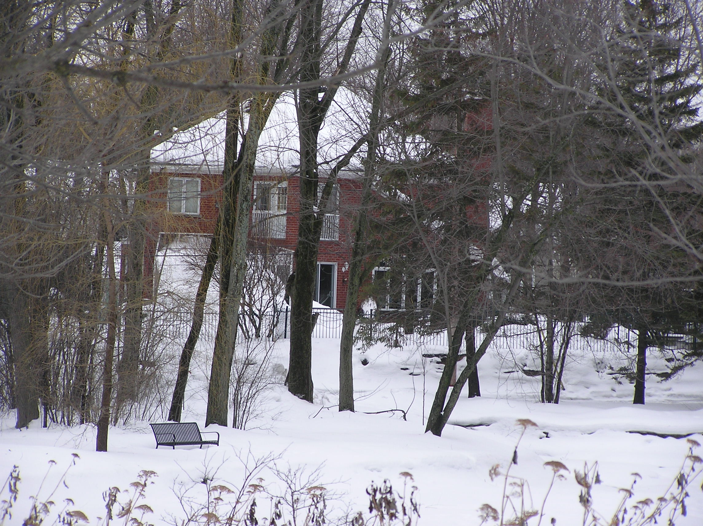 The Neighborhood in Winter – TINA HOME